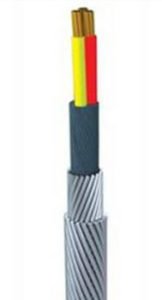 1/4 Load Bearable Detecting Cable Supplier | Oil Well Logging Cable Price